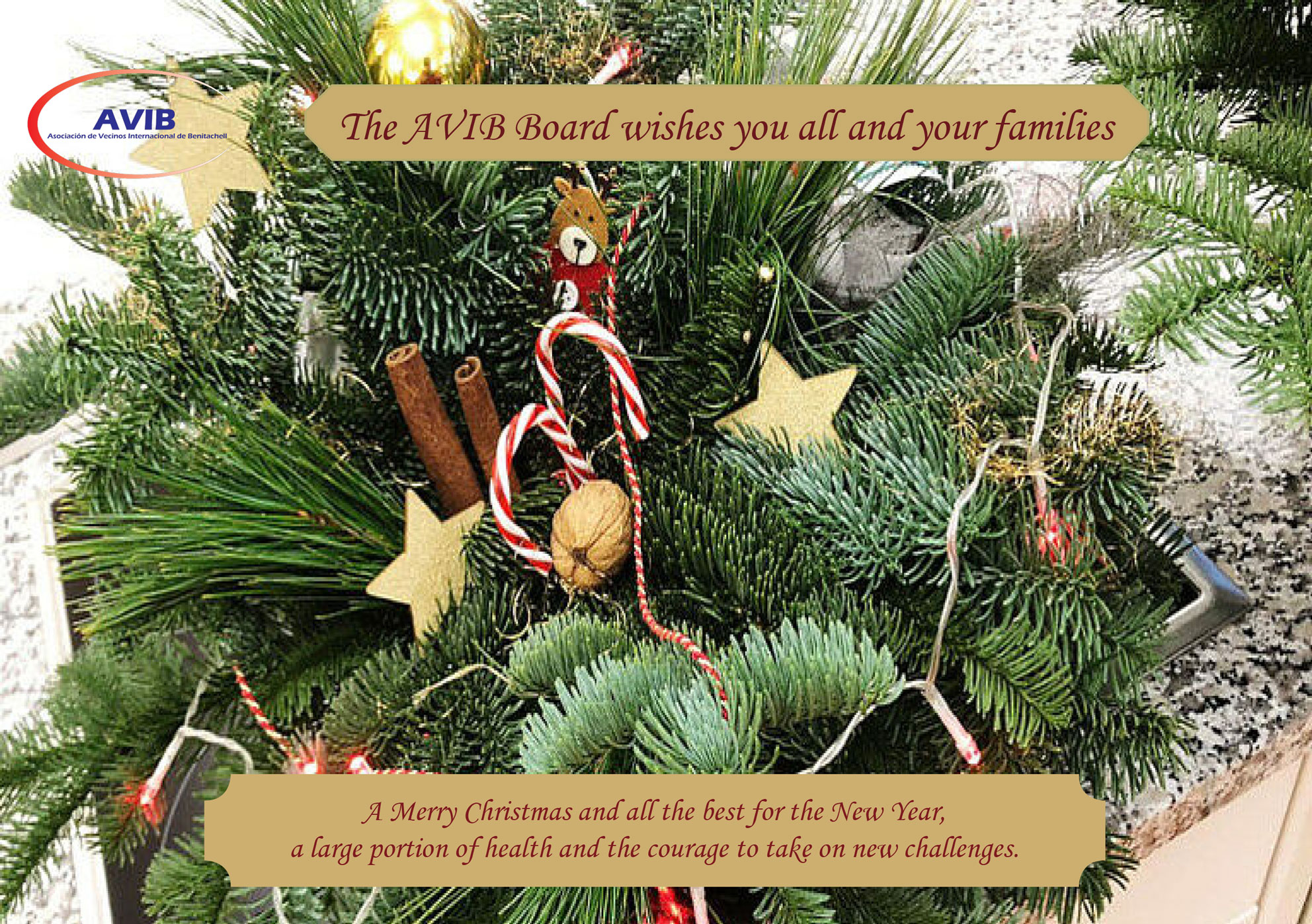 AVIB – Cumbre del Sol